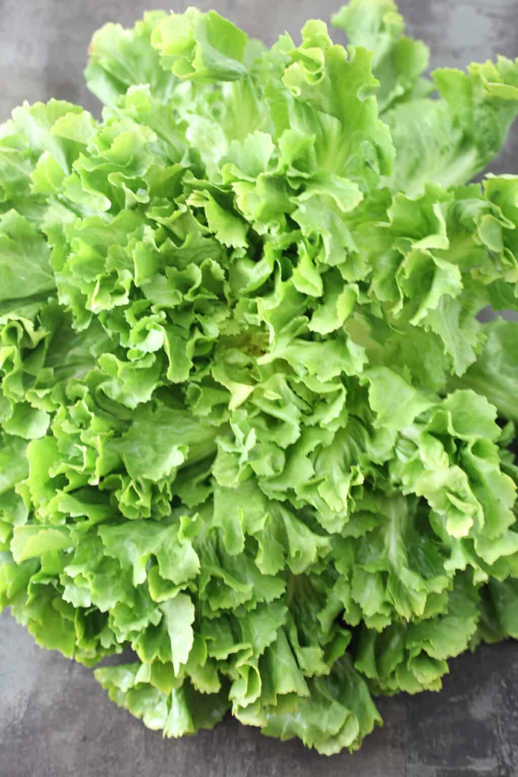 Easy Escarole Salad
